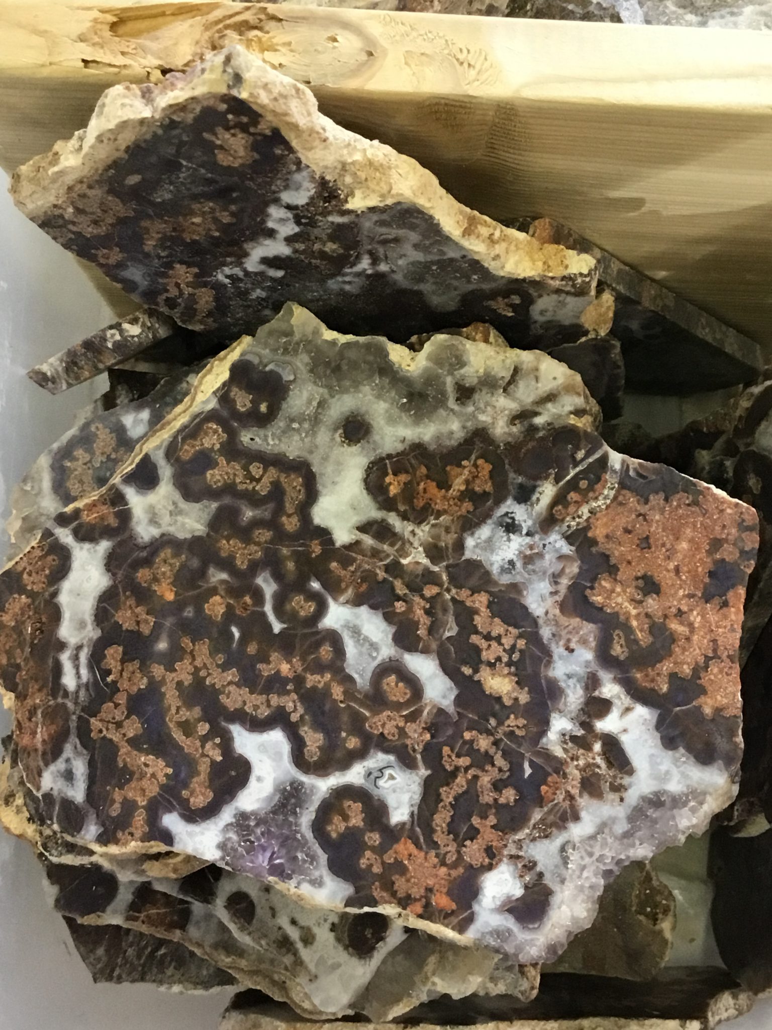 2019 Show Pics – Oklahoma Mineral and Gem Society